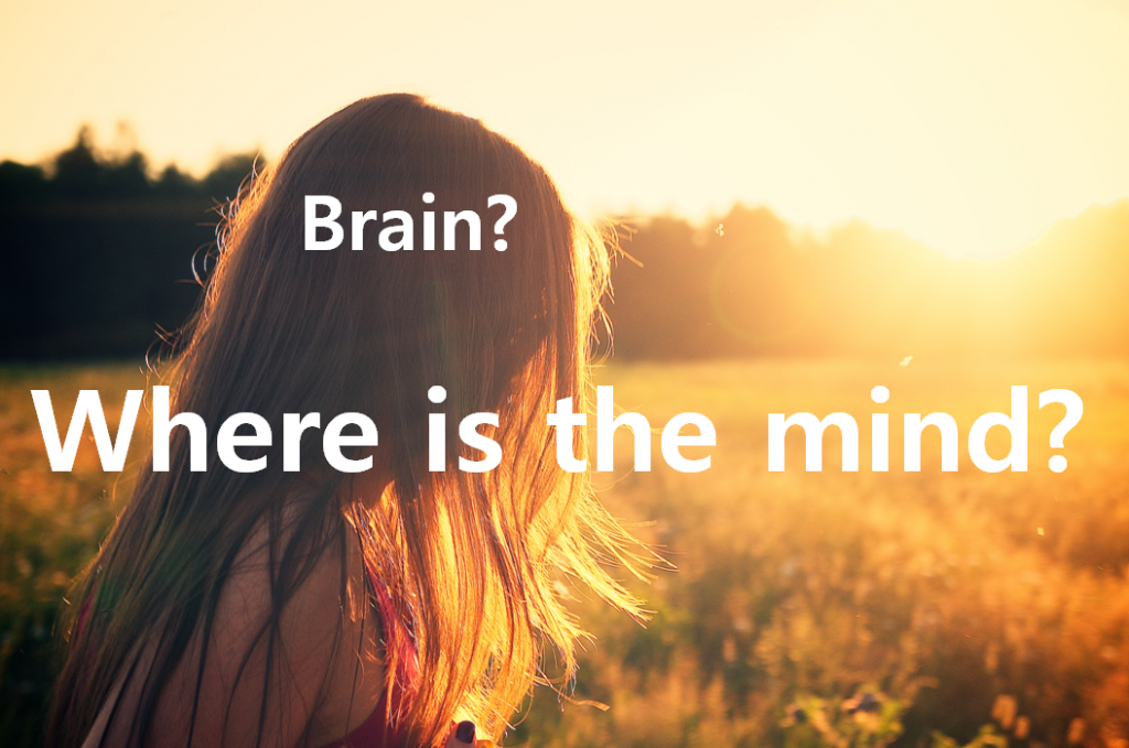 Brain-Neuroscience - A STEP TOWARDS PEACE