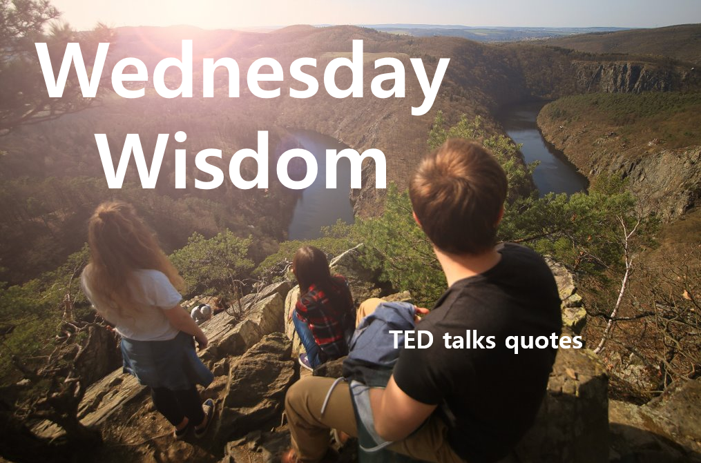TED talks quotes : Wednesday Wisdom - A STEP TOWARDS PEACE